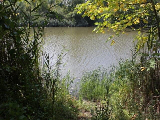#MITrailsWeek: Clinton River Spillway Path