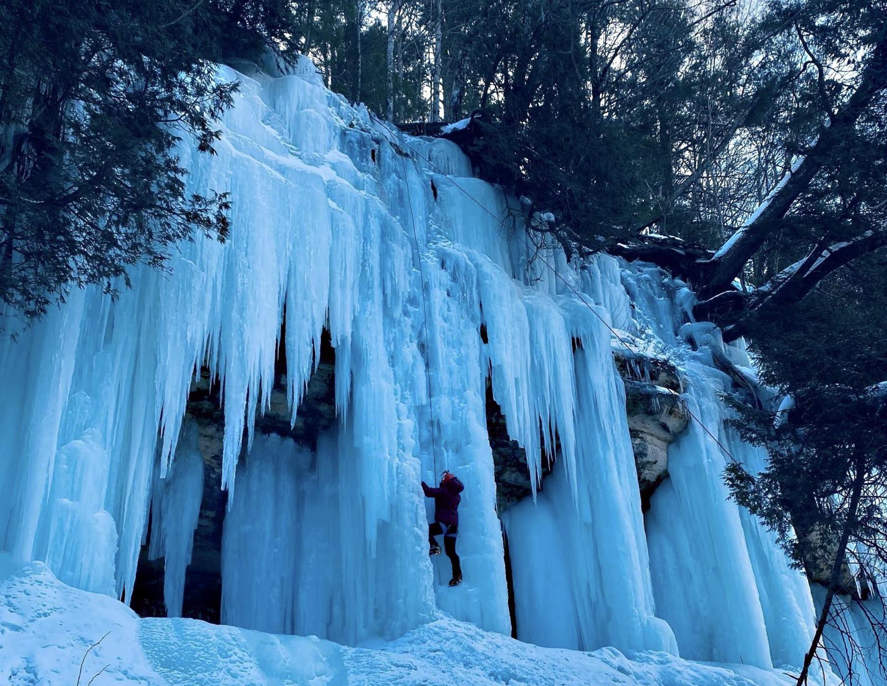When and How to Watch Perseid Meteor Showers in Michigan