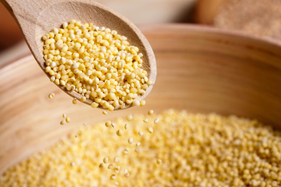 What is Millet?