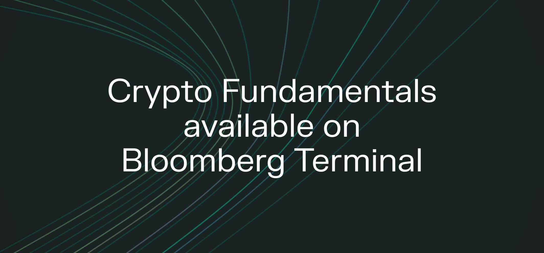 Crypto Fundamentals application launches today on the Bloomberg App Portal | Token Terminal