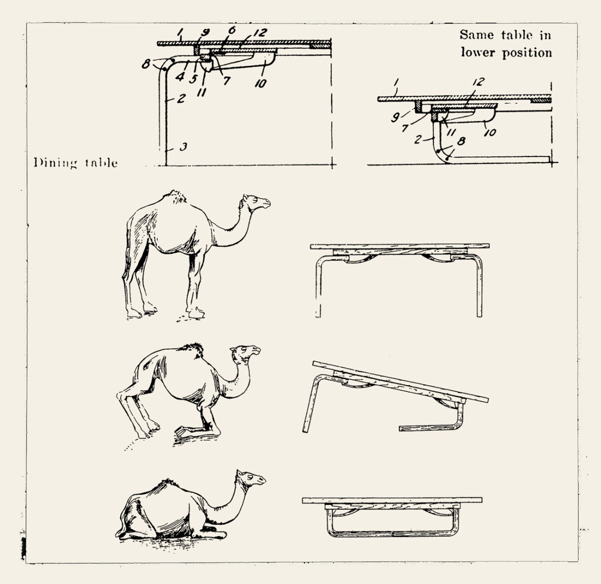 Neutra VDL — Media