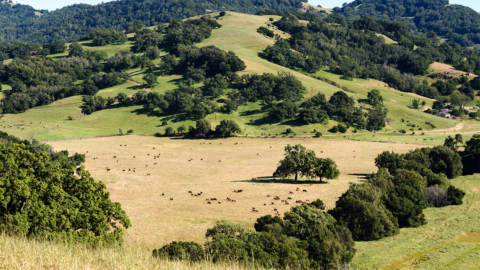 The Ranch | Eames Institute