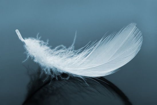 Feathercoin's Peter Bushnell: There's room for more crypto-currencies