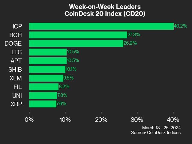Internet Computer's 40% Rally Led CoinDesk 20 Gainers Over Past Week ...