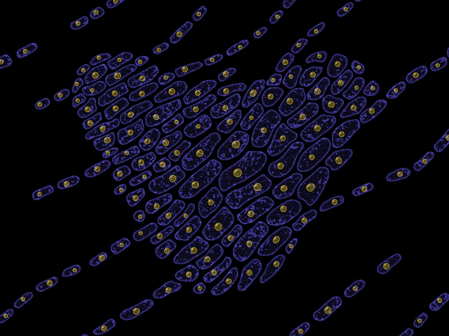 VitaDAO Closes $4.1M Funding Round With Pfizer Ventures for Longevity ...