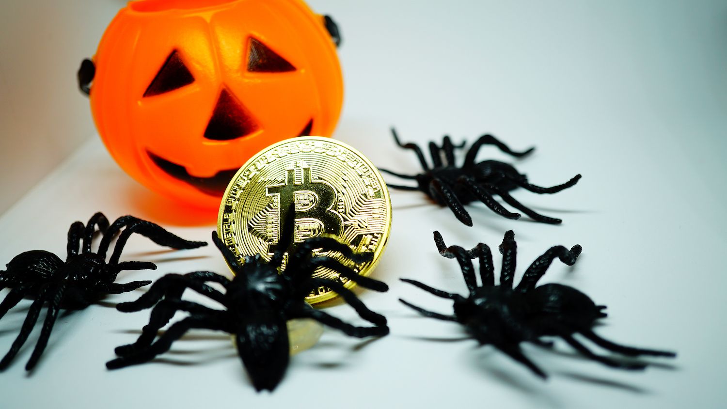 Night of the Living HODLers: Halloween 2018's Best Crypto Costumes