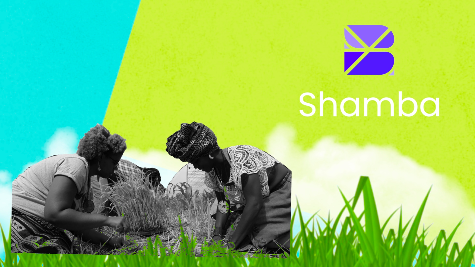 Shamba Network Sows the Future of Sustainable Agriculture in Africa