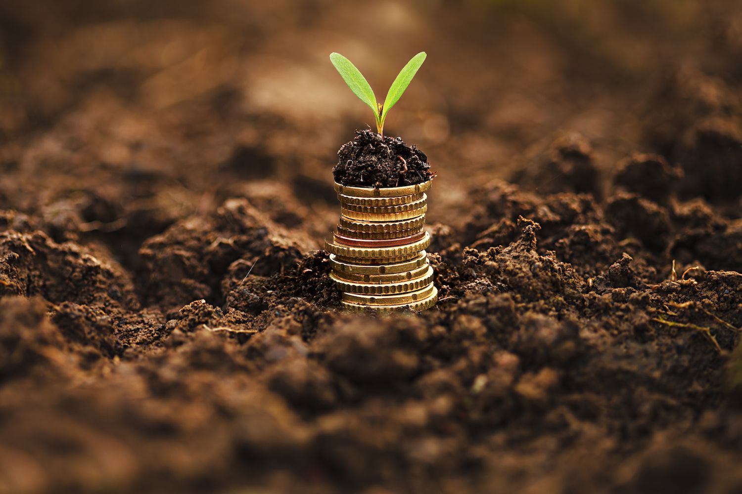 Redpoint VC: Bitcoin is Fastest-Growing Area of Funding