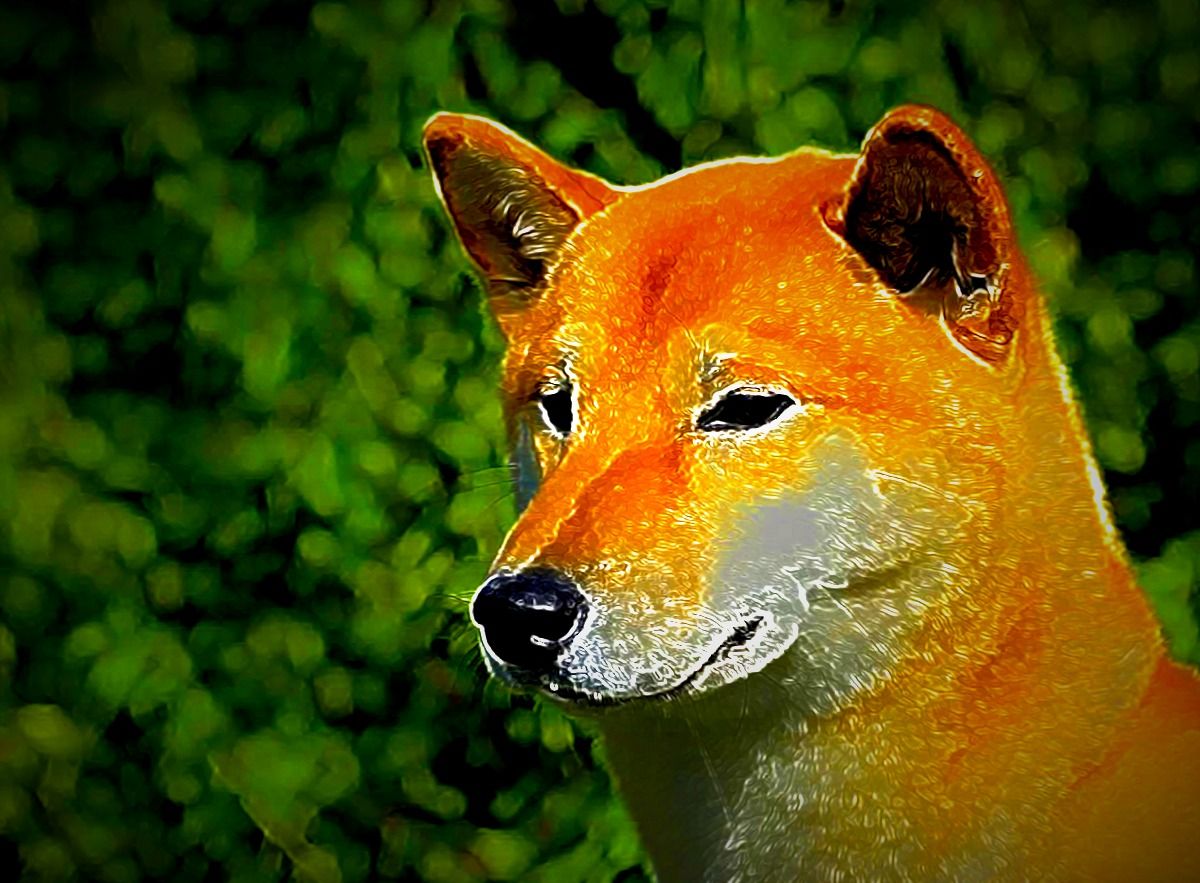 DOGE Army Retreats, Tail Between Legs, as Dogeday Ends With 21% Drop