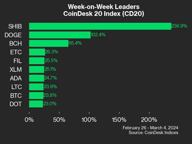CoinDesk 20 Hits Record as SHIB and DOGE Soar: CoinDesk Indices Market ...