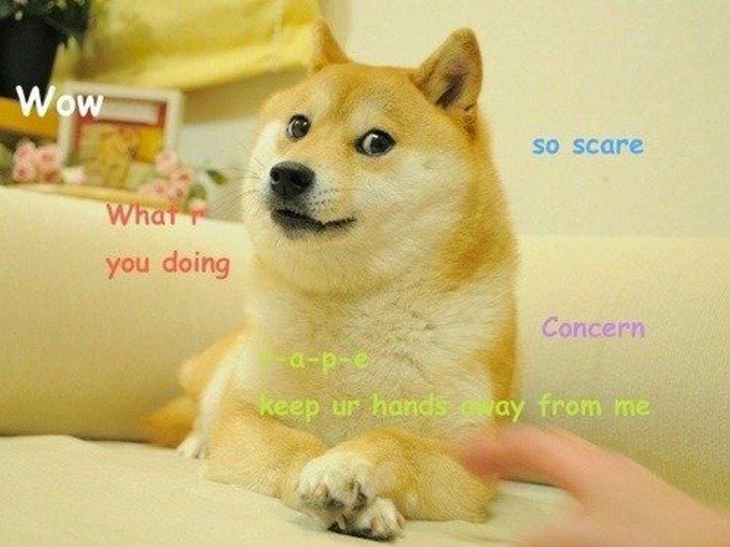 Doge Community 'Own The Doge' Is Installing Kabosu Dog’s Statue in Japan