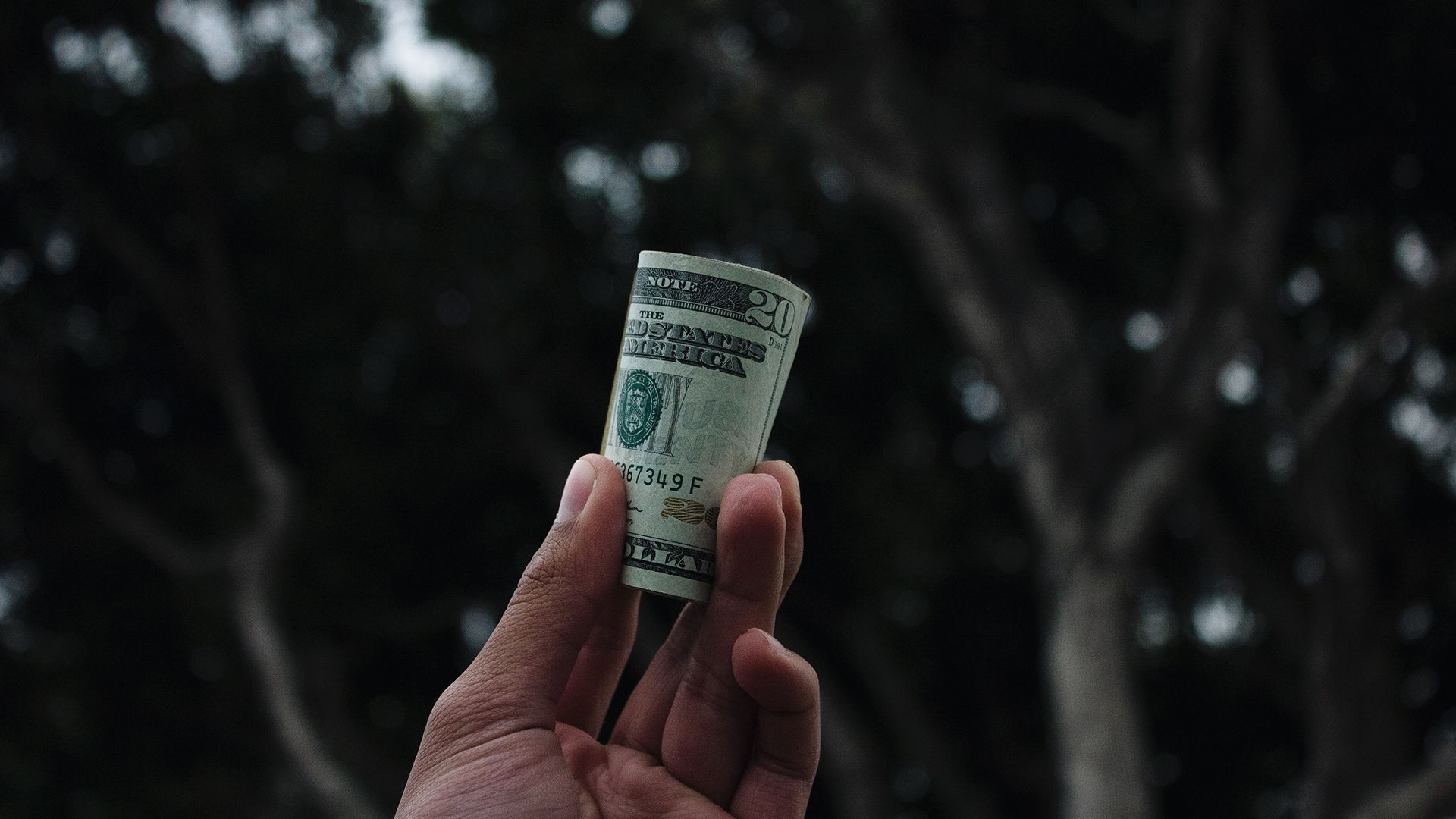 Solana Foundation, Polygon Lead $30M Fundraise for Web3 Firm Cosmic Wire