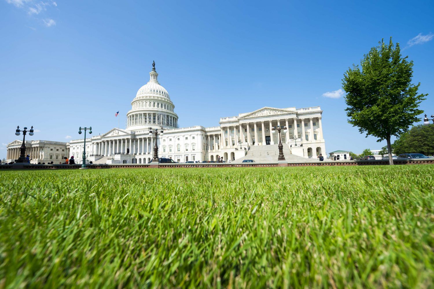 White House Fuels Growing Blockchain Interest on Capitol Hill