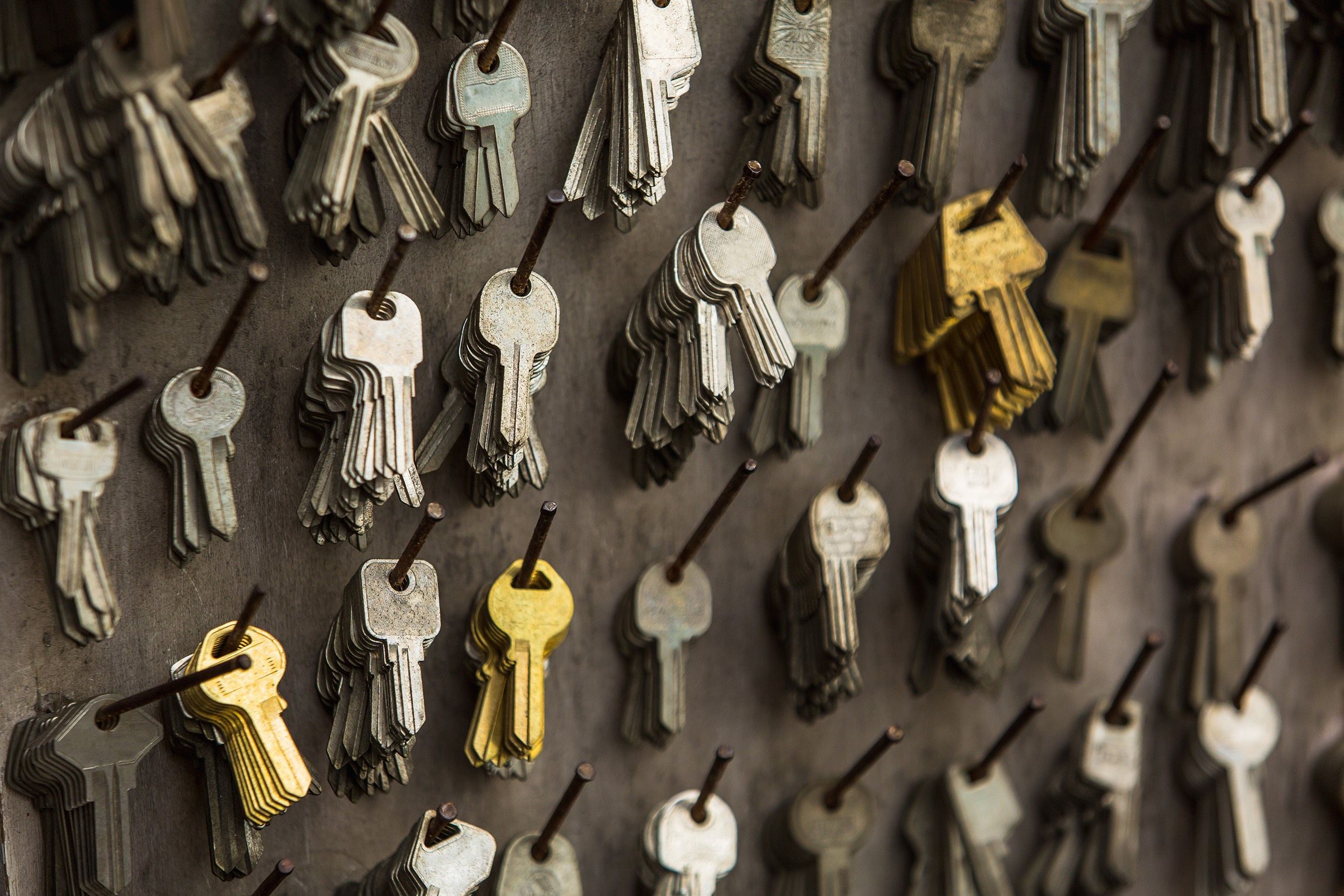New Tool Will Find Secrets – Including Crypto Keys – in Your Public Code