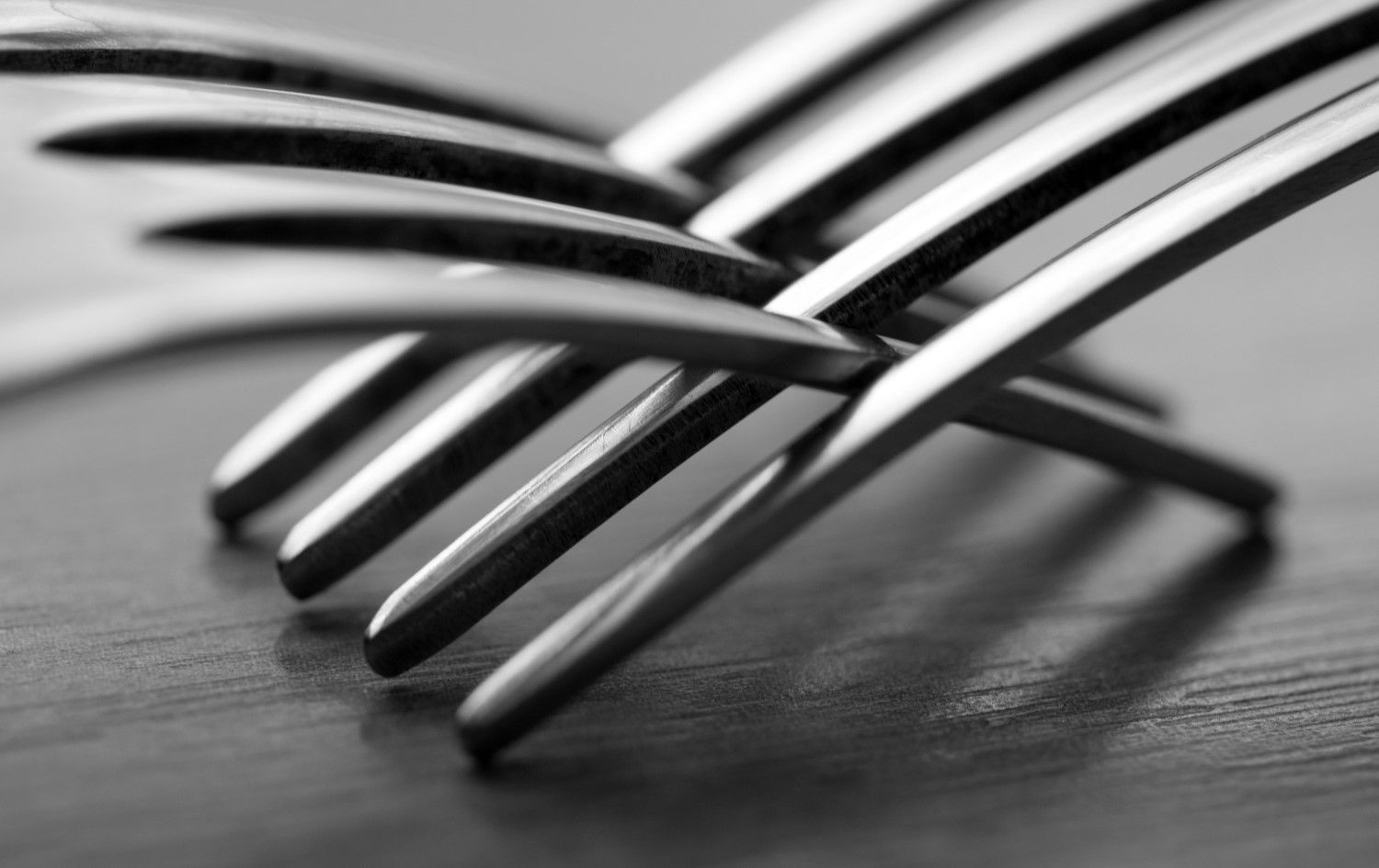 One Month Later, Which Crypto Is Winning the Bitcoin Cash Split?