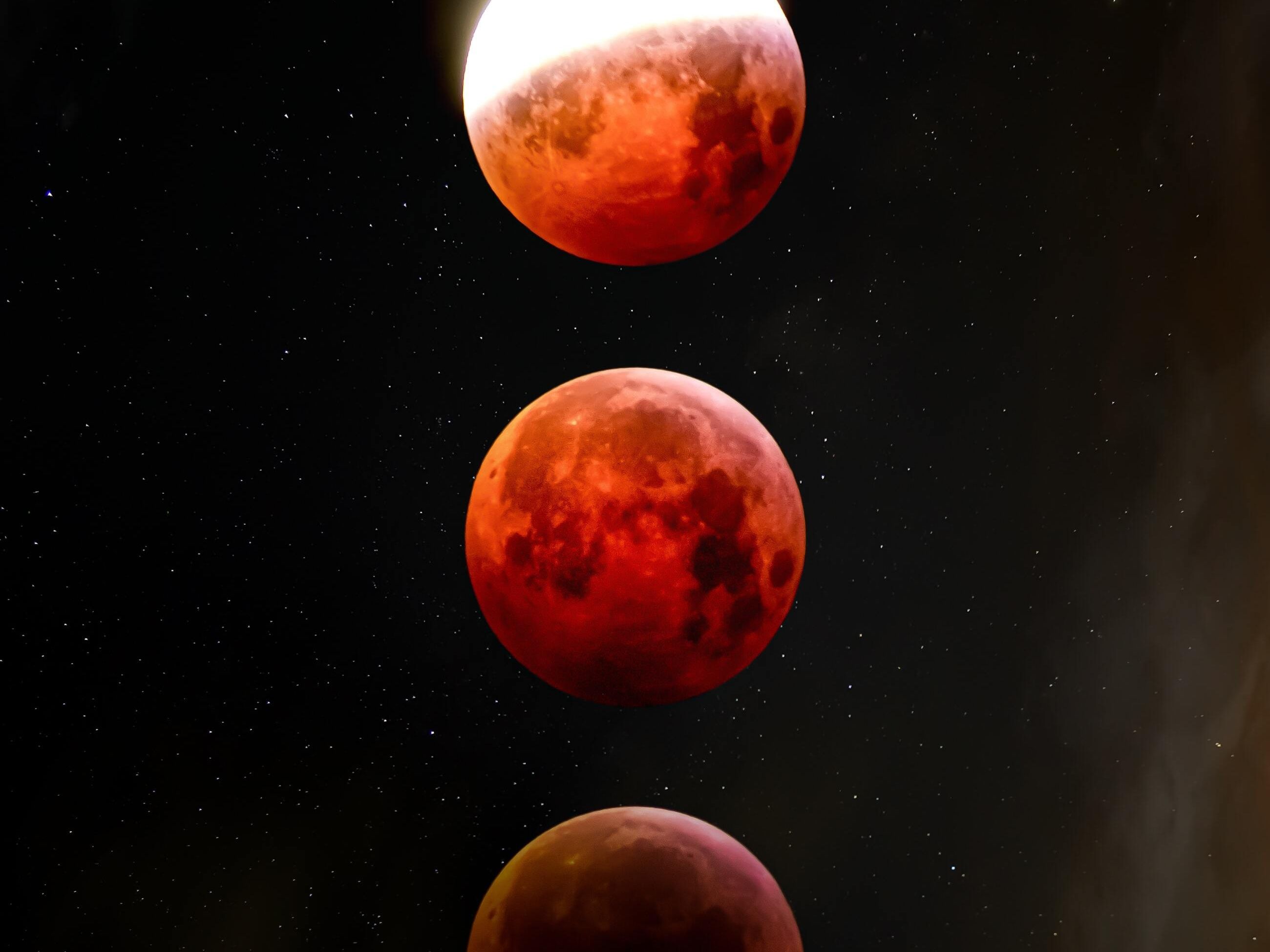 The Fall of Terra: A Timeline of the Meteoric Rise and Crash of UST and ...