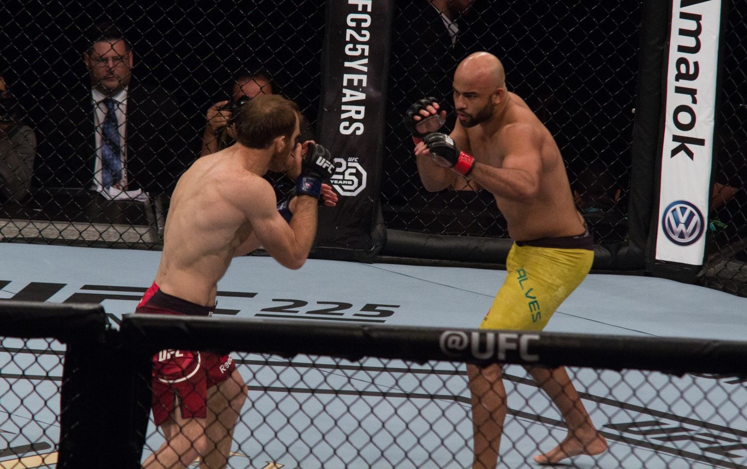 Litecoin Takes to the UFC Octagon in New Sponsorship Deal