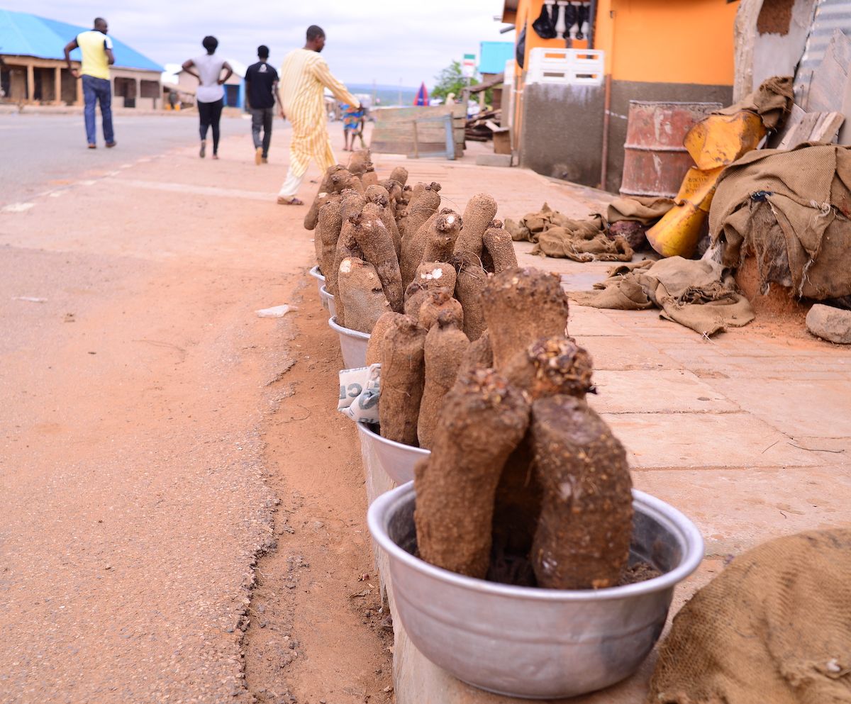 DeFi Meme Coin YAM Succumbs to Fatal 'Rebase' Bug, Makes Plans for 'YAM ...