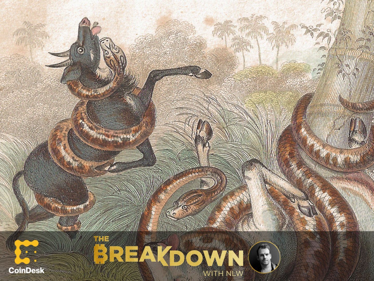 Python Politics Part 2: Operation Choke Point 2.0 Begins