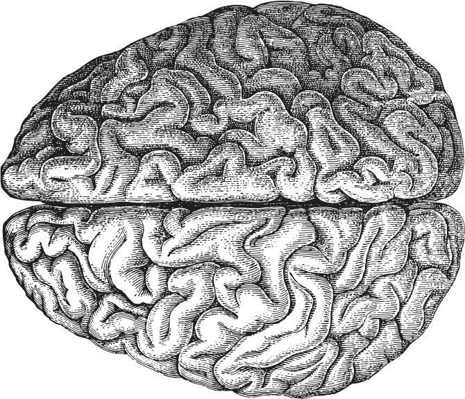 Building a brain the size of a planet: The CoinDesk Weekly Review