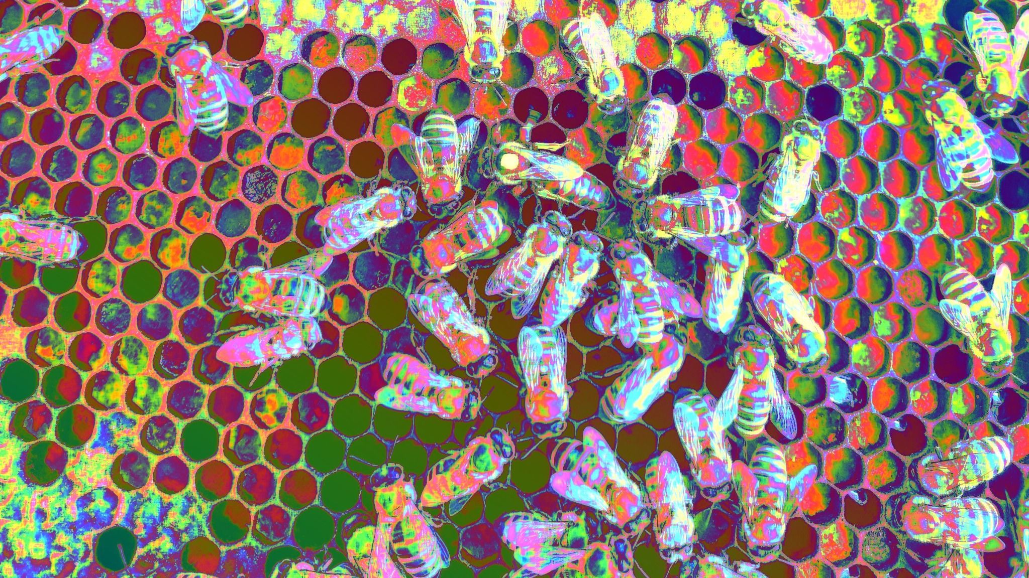 Developers Upload Script of Jerry Seinfeld’s ‘Bee Movie’ on Ethereum as ...