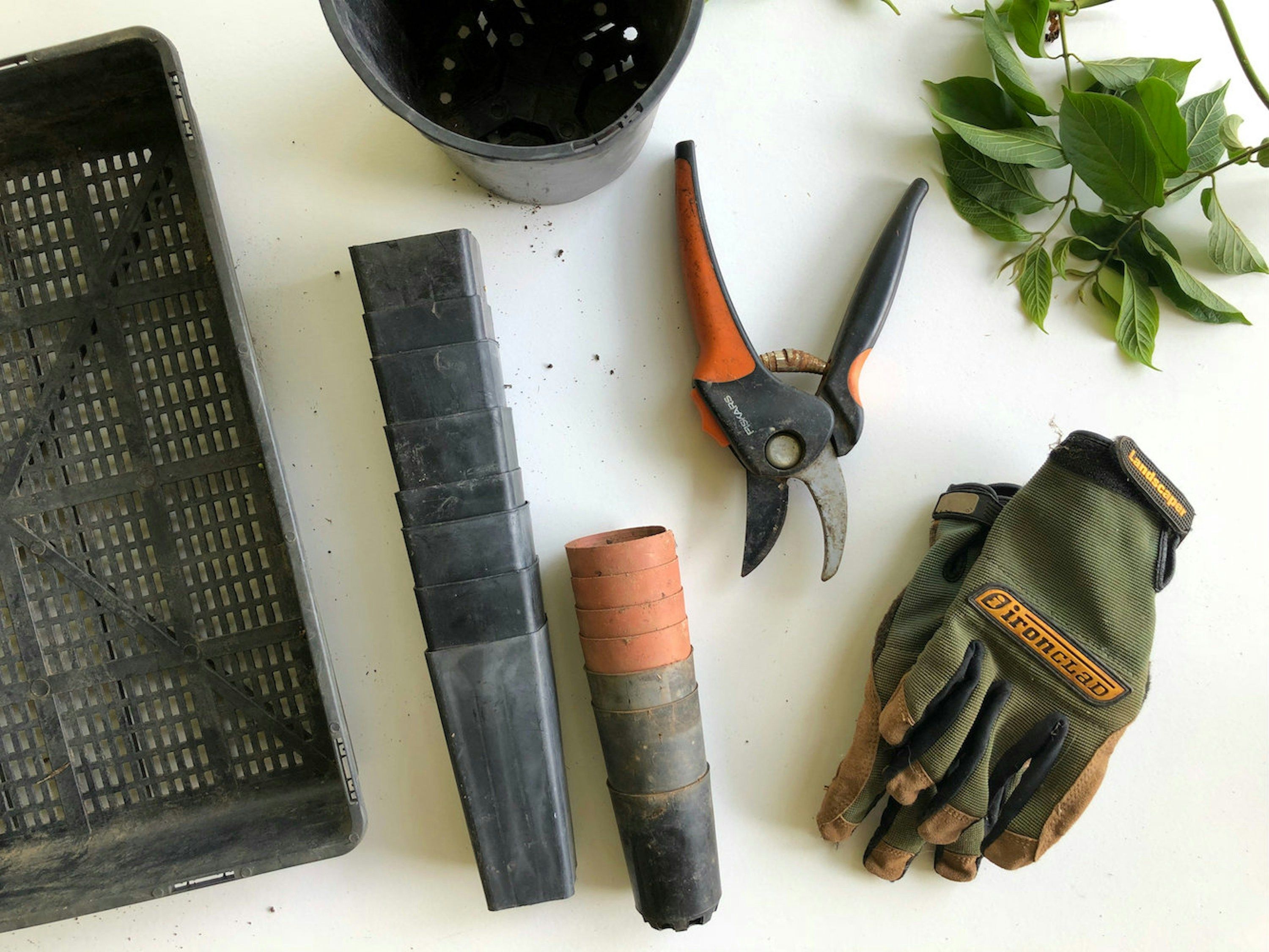 Must Have Tools for Every Gardener | Bloom & Abode