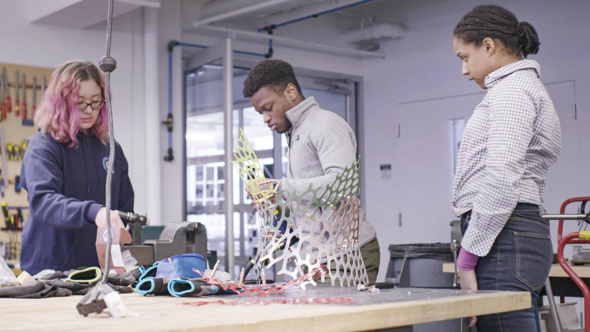 Undergraduates | Learning | MAD