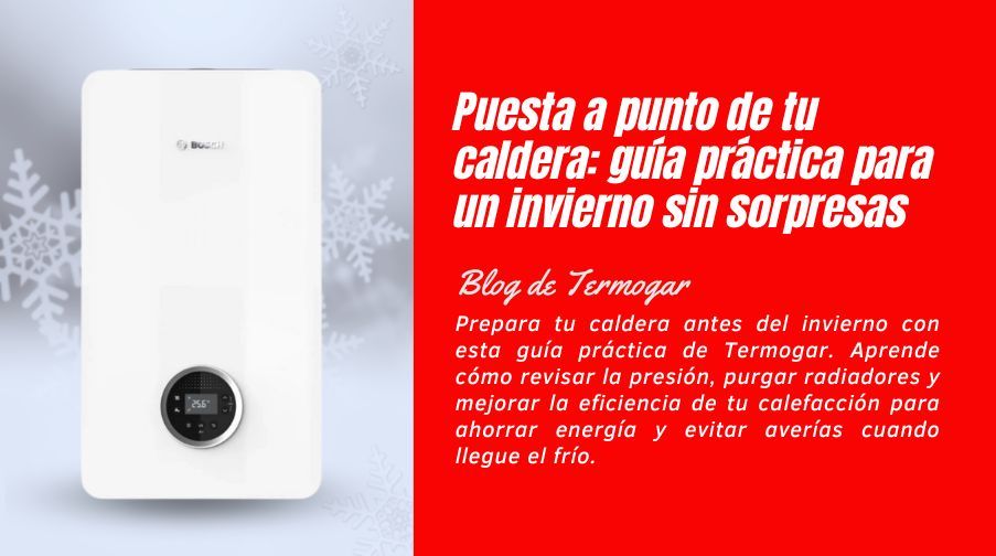 Puesta a punto de tu caldera: guía práctica para un invierno sin ...