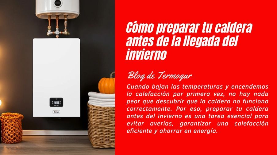 Cómo preparar tu caldera antes de la llegada del invierno | Termogar
