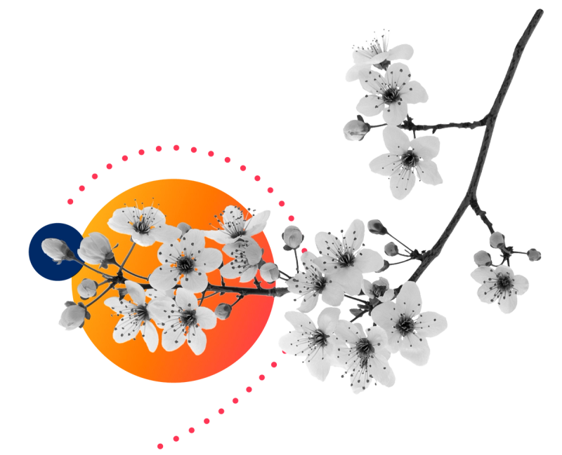 Sustainability | Aiven