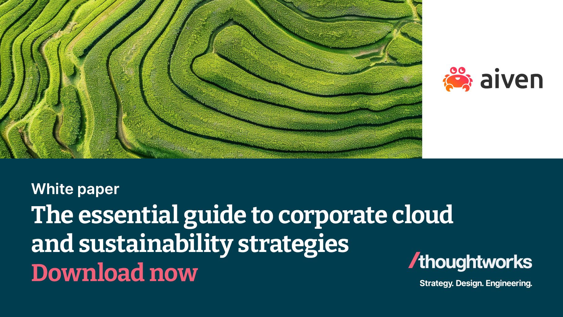 Whitepaper: Corporate cloud and sustainability strategies