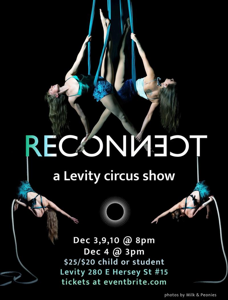 Levity Circus Collective - RoguesGuide