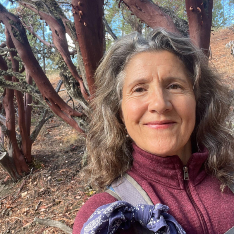 Maria Katsantones - RoguesGuide