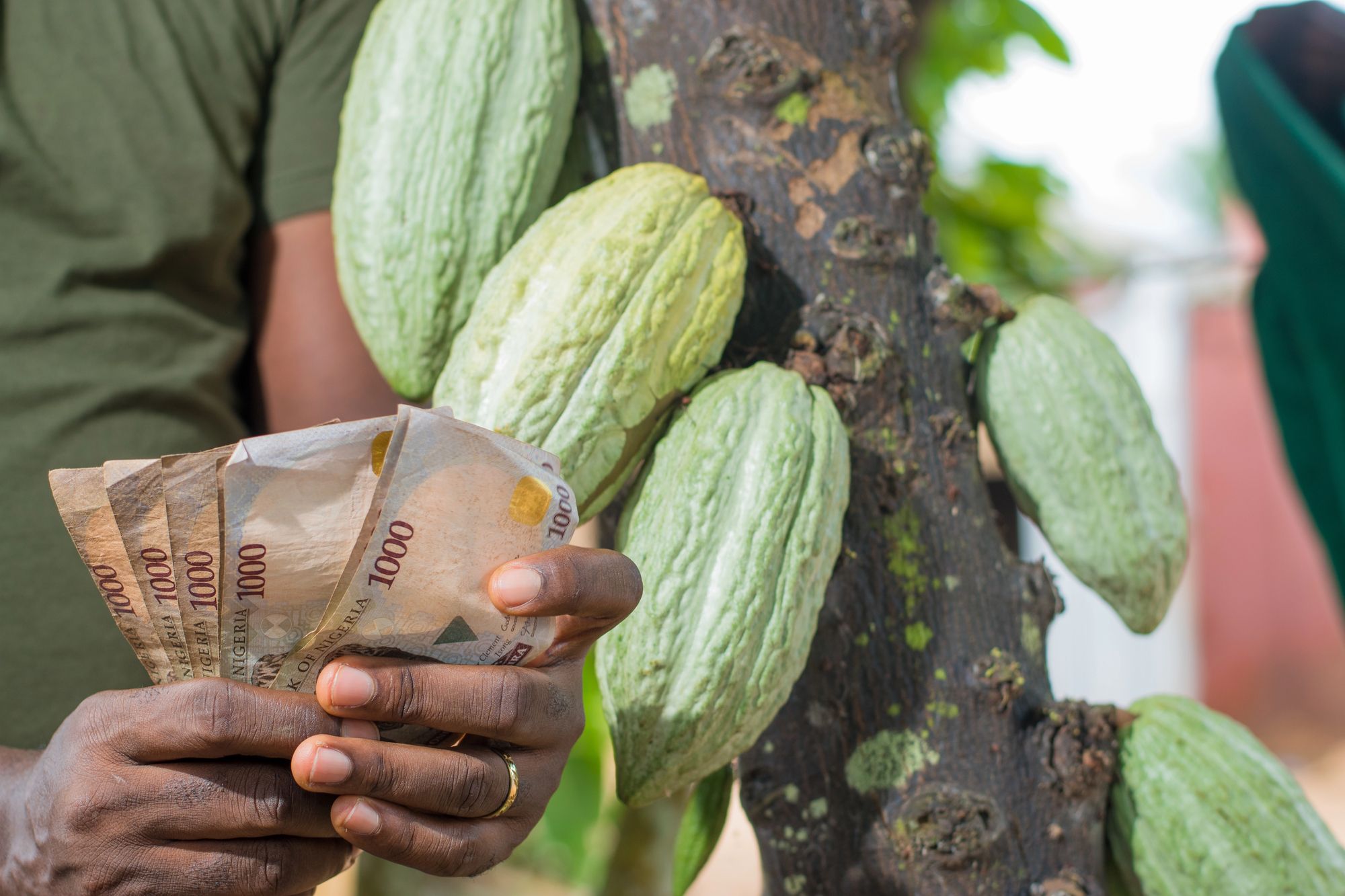 Supported by CLIC, agri-fintech Winich Farms raises USD 3 million in ...