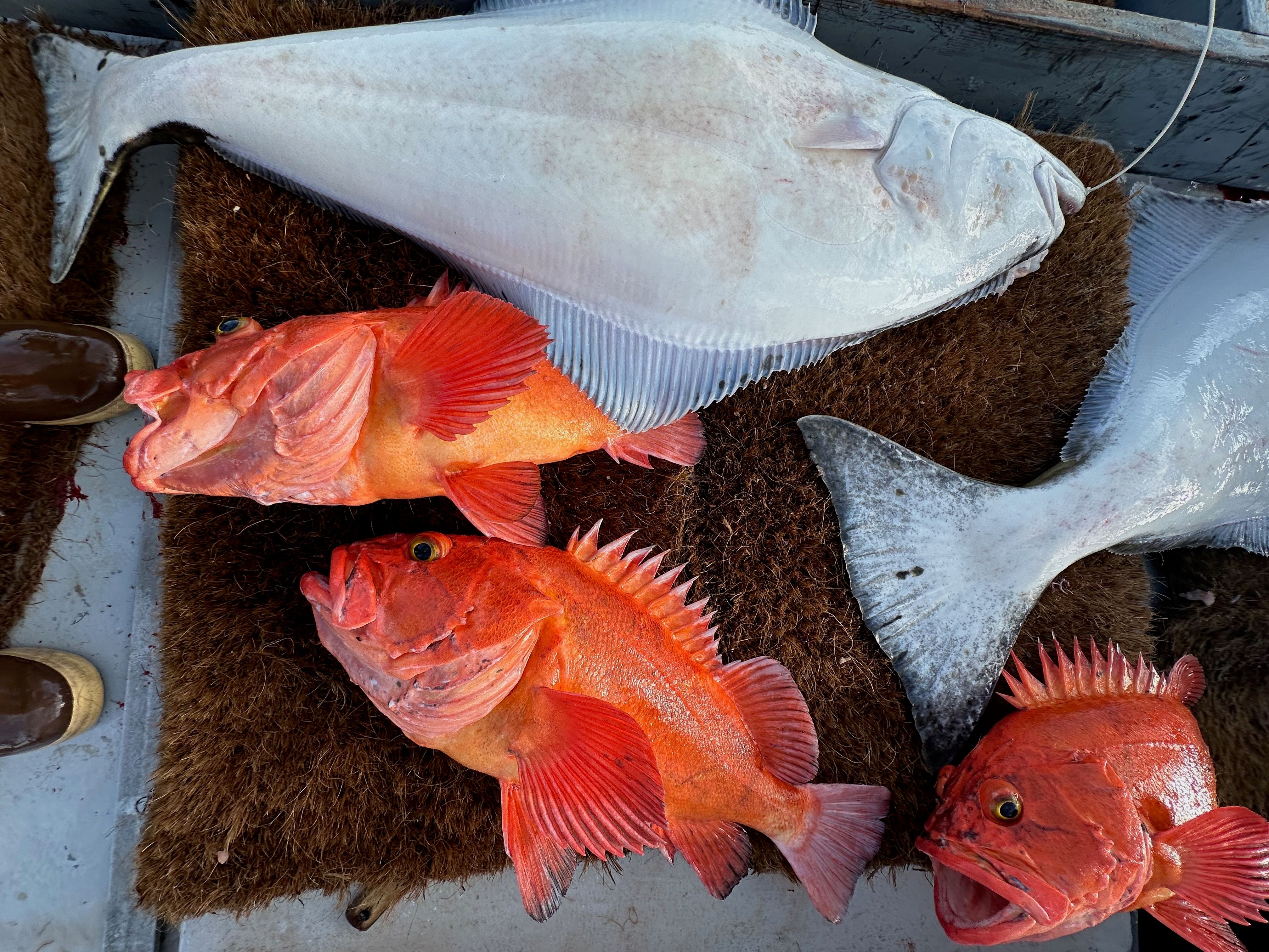 Sitka Seafood Market