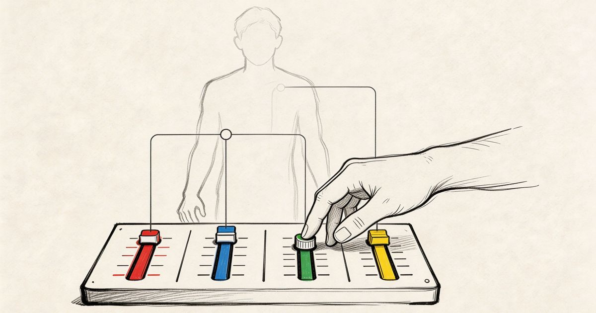 Mastering The Predictive Index Behavioural Assessment