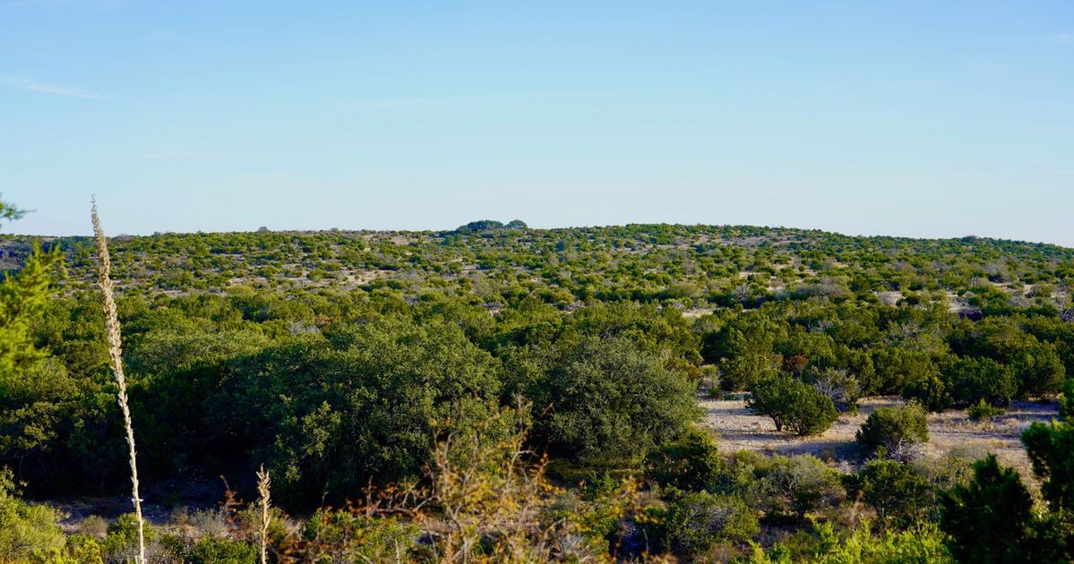 Carta Valley Ranch | Bownds Ranches: Find Your Texas Ranch Today