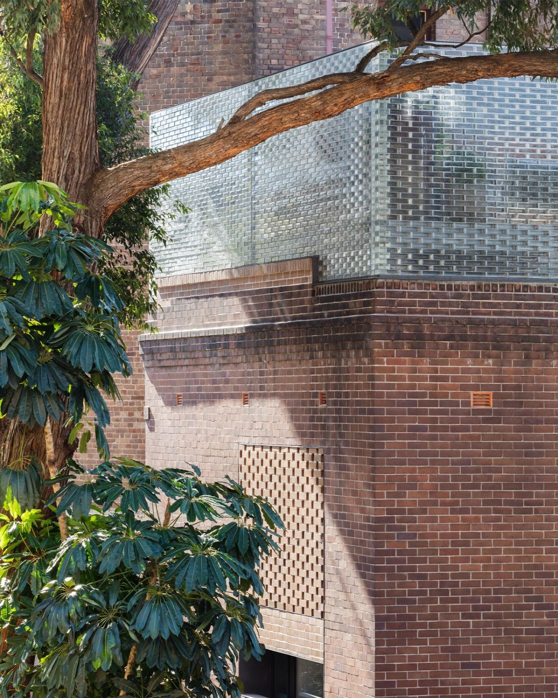 Tribe Studio Architects: Home