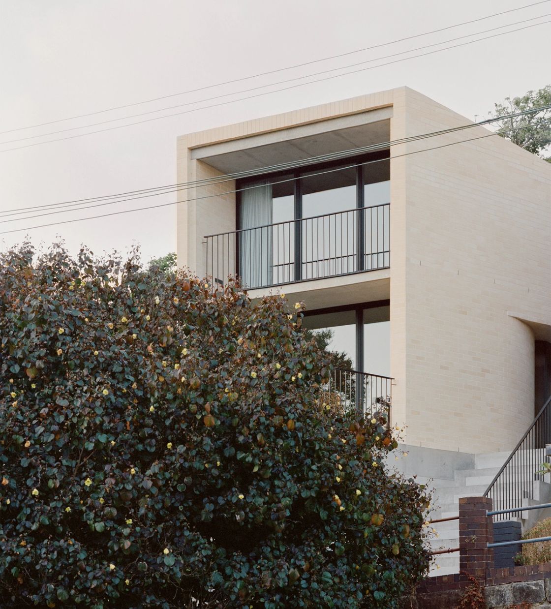 Tribe Studio Architects: Home