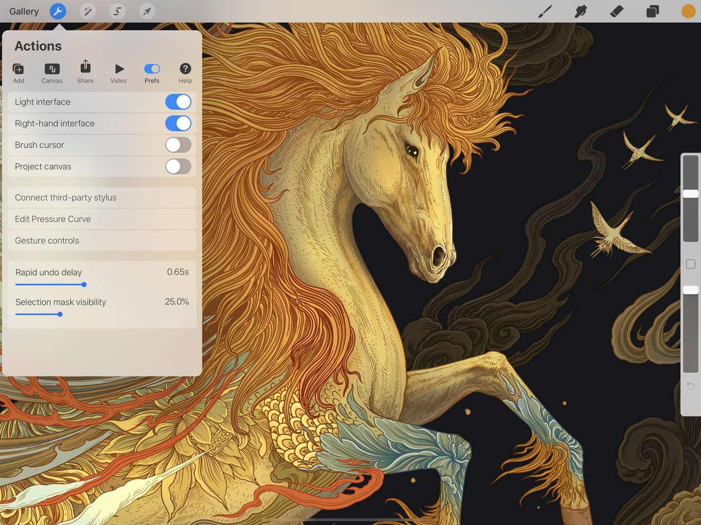 Preferences — Procreate Handbook