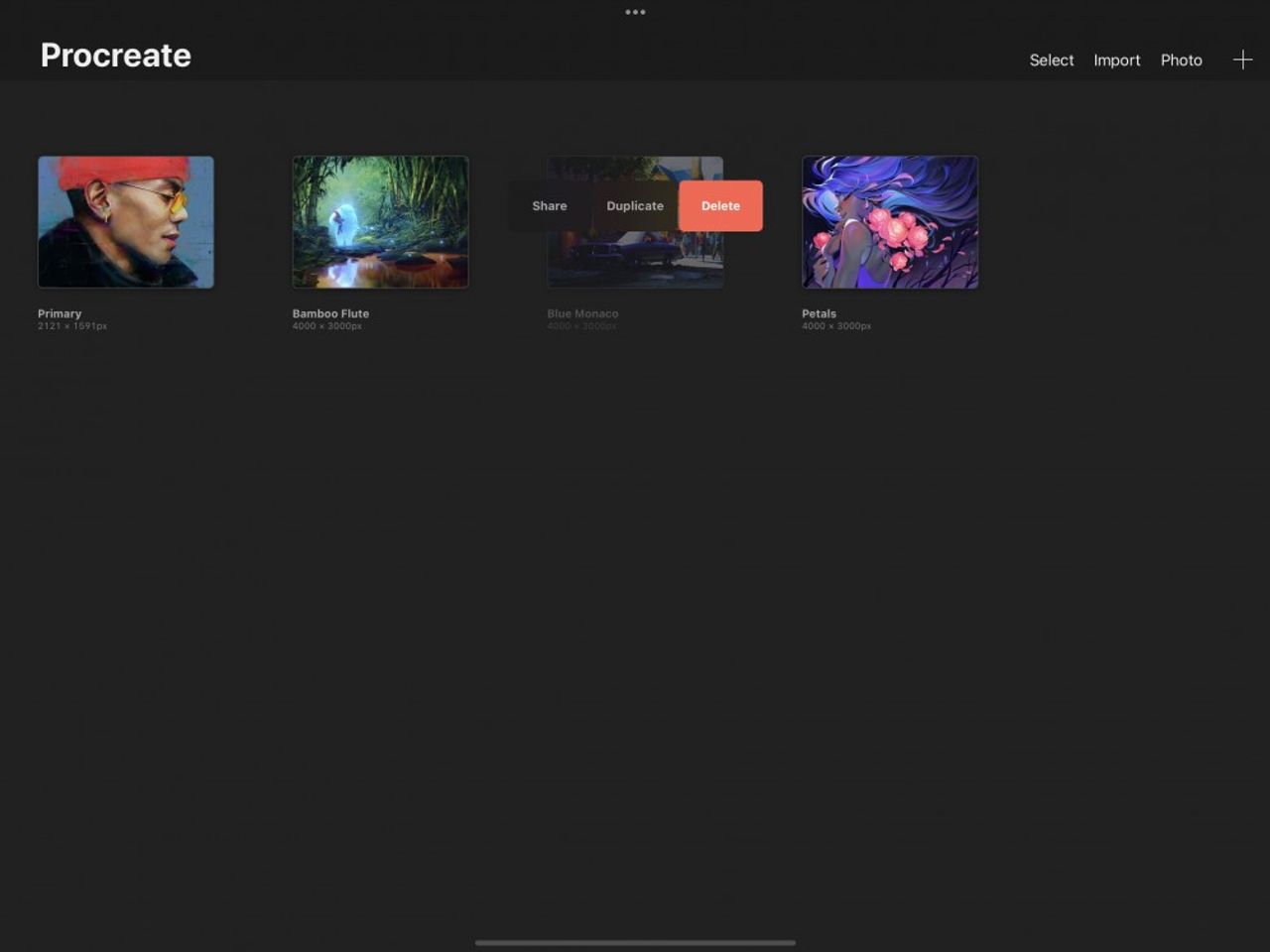 Organize — Procreate Handbook