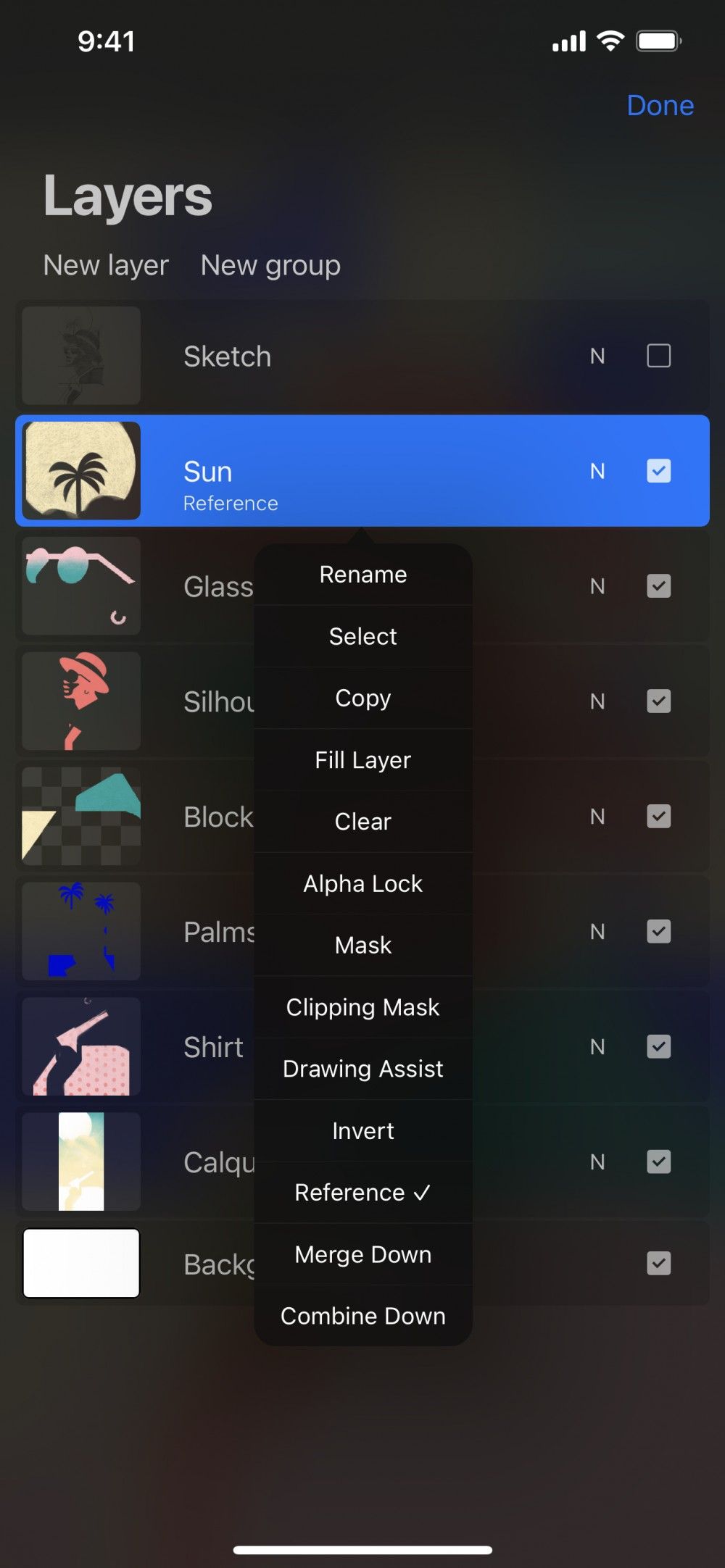Options — Procreate Pocket Handbook