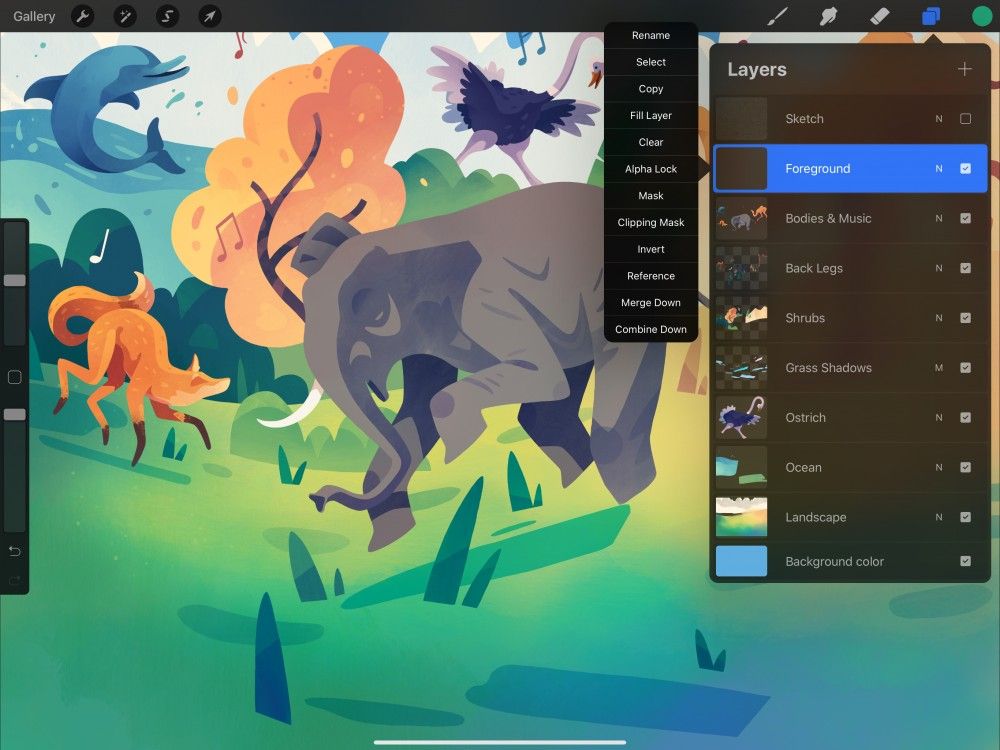 Options — Procreate Handbook