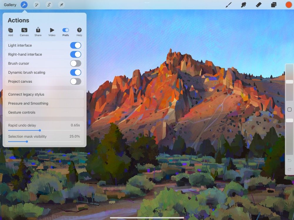 Preferences — Procreate Handbook