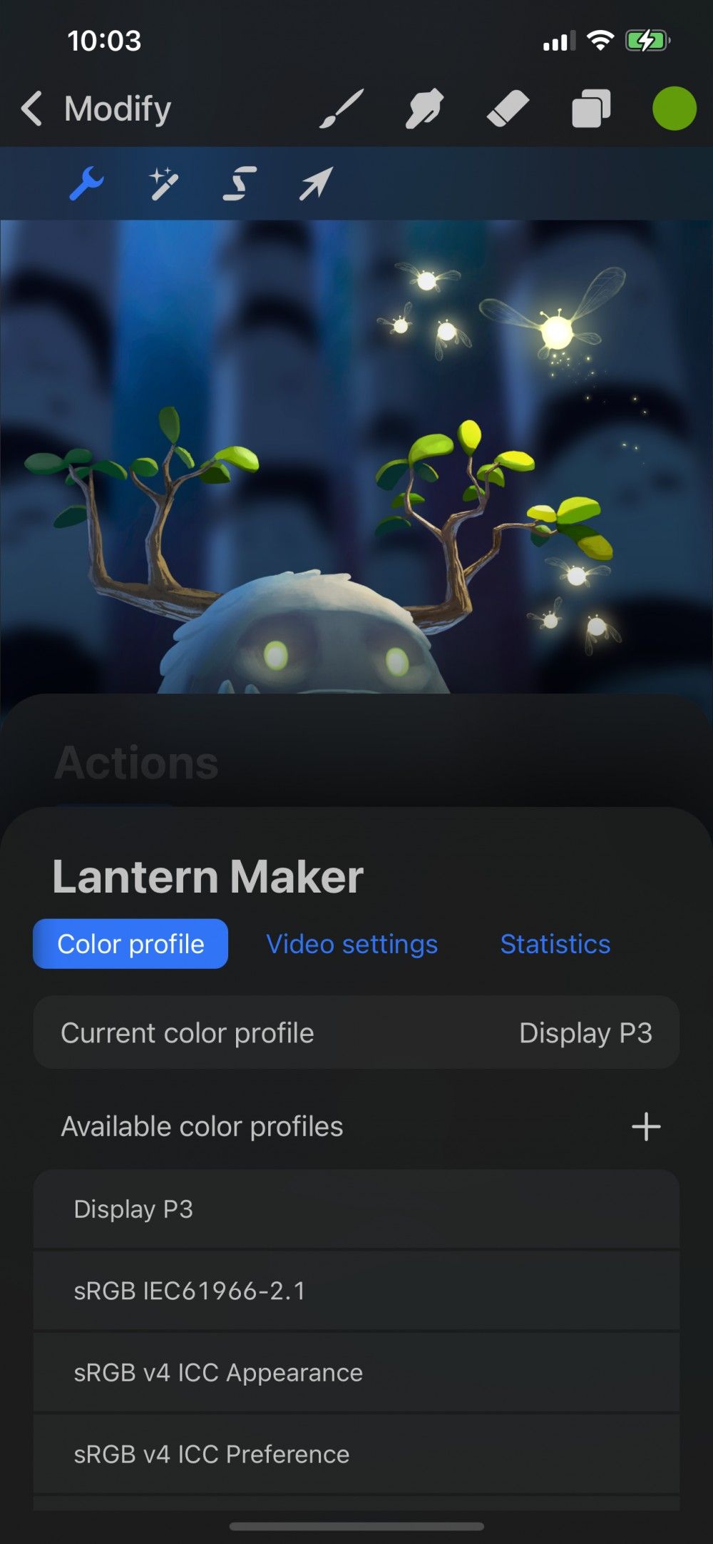 Canvas — Procreate Pocket Handbook