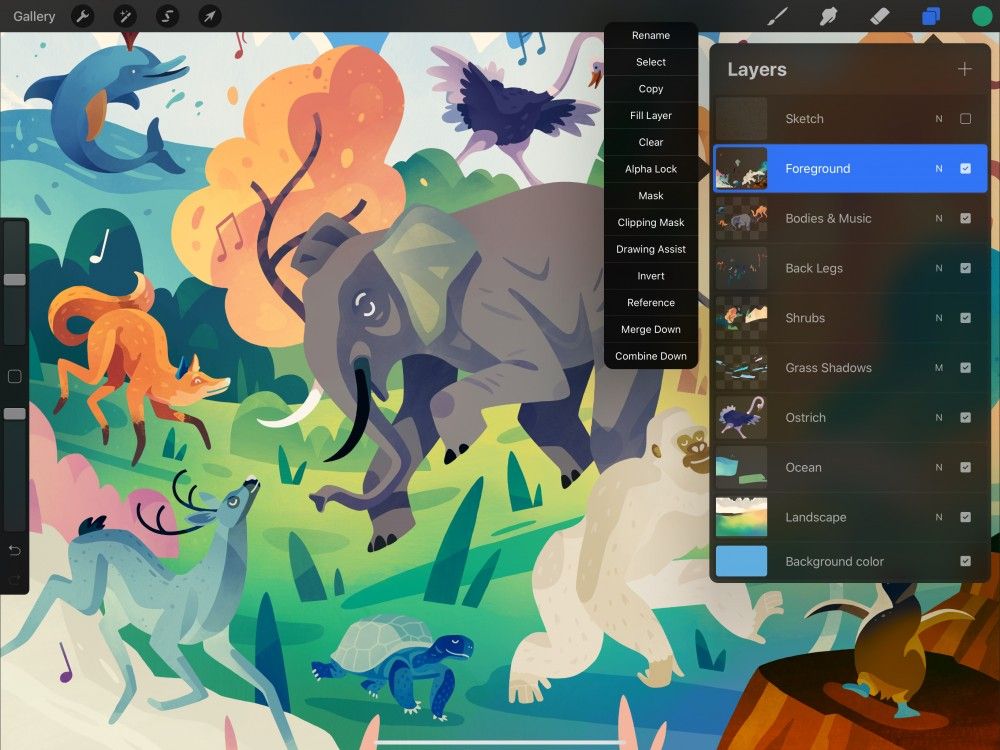 Options — Procreate Handbook