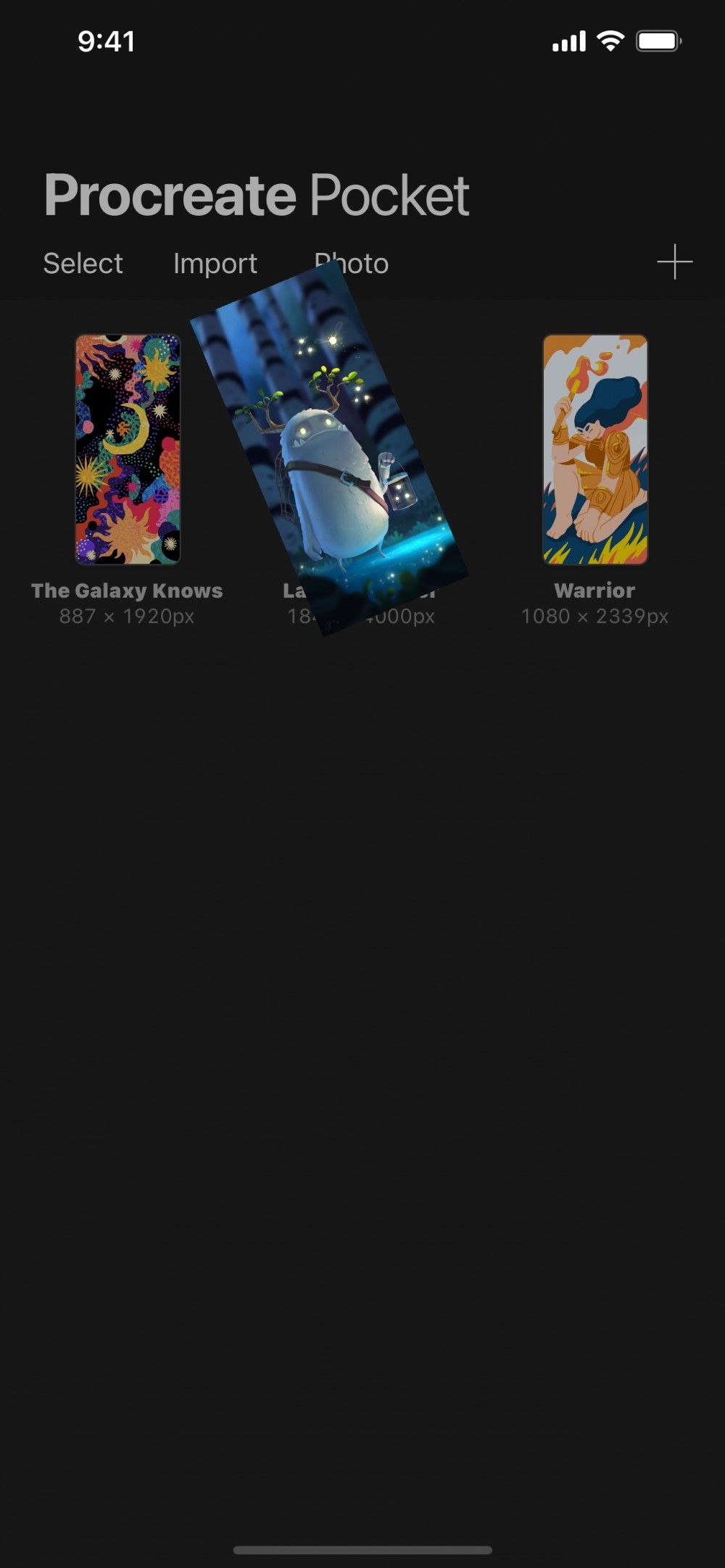 Organize — Procreate Pocket Handbook