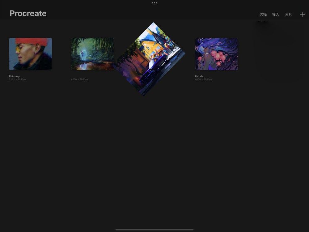 管理作品 — Procreate 使用手册