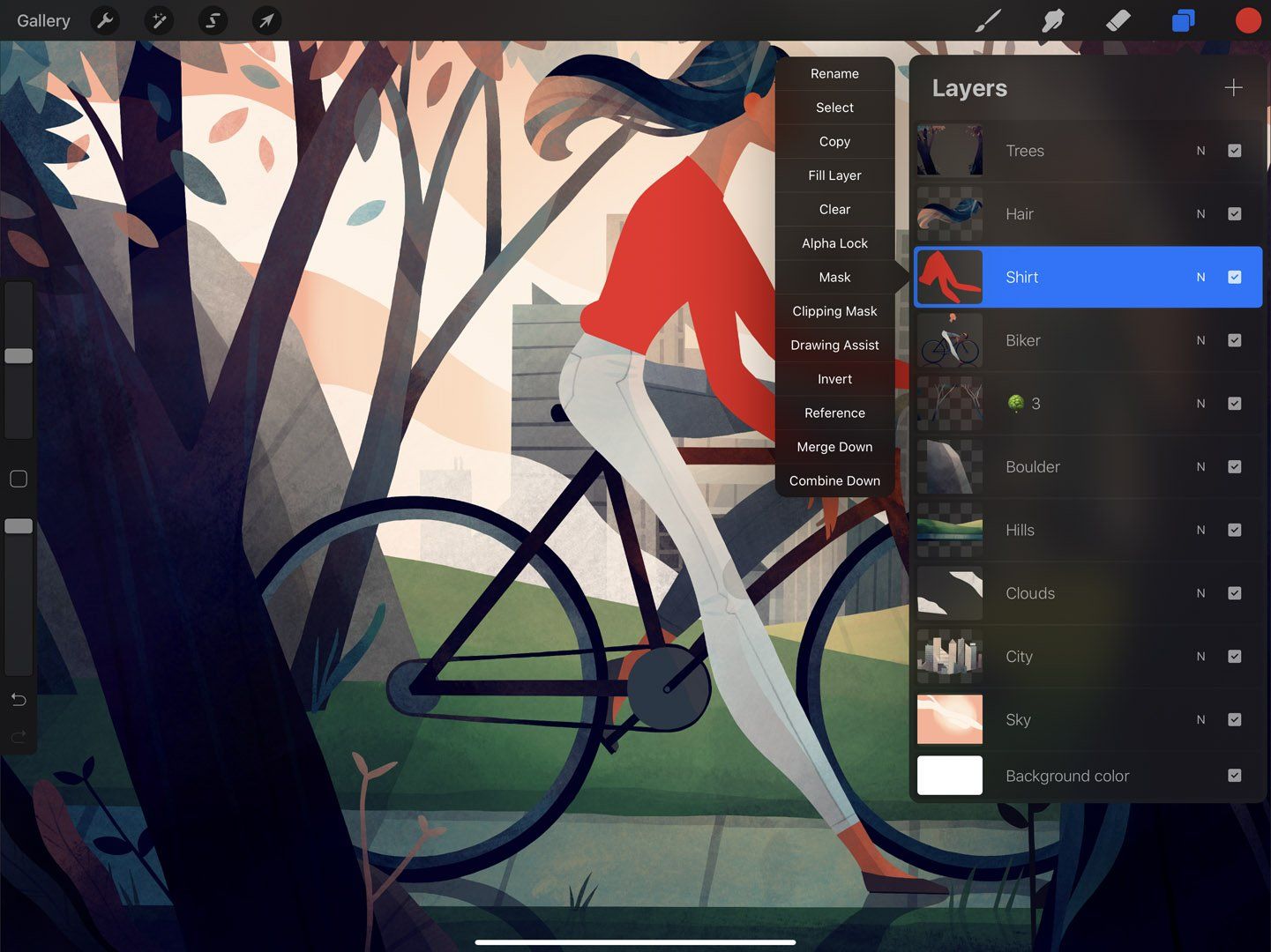 Options — Procreate Handbook