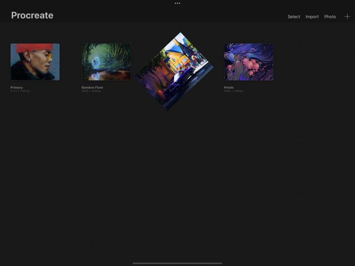 Organize — Procreate Handbook